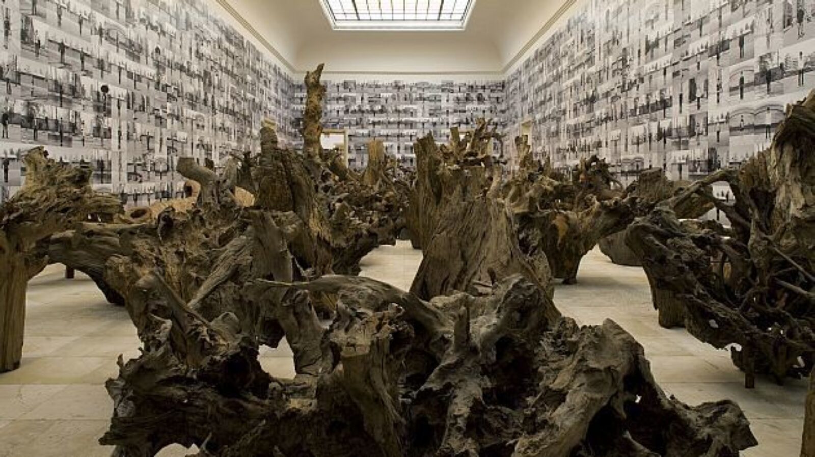Ai Weiwei. So Sorry | Haus der Kunst Munich