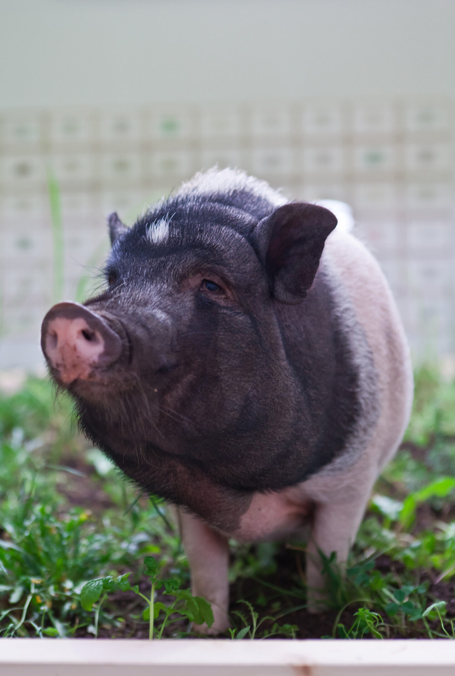Ends of the Earth – Land Art to 1974 | Haus der Kunst Munich