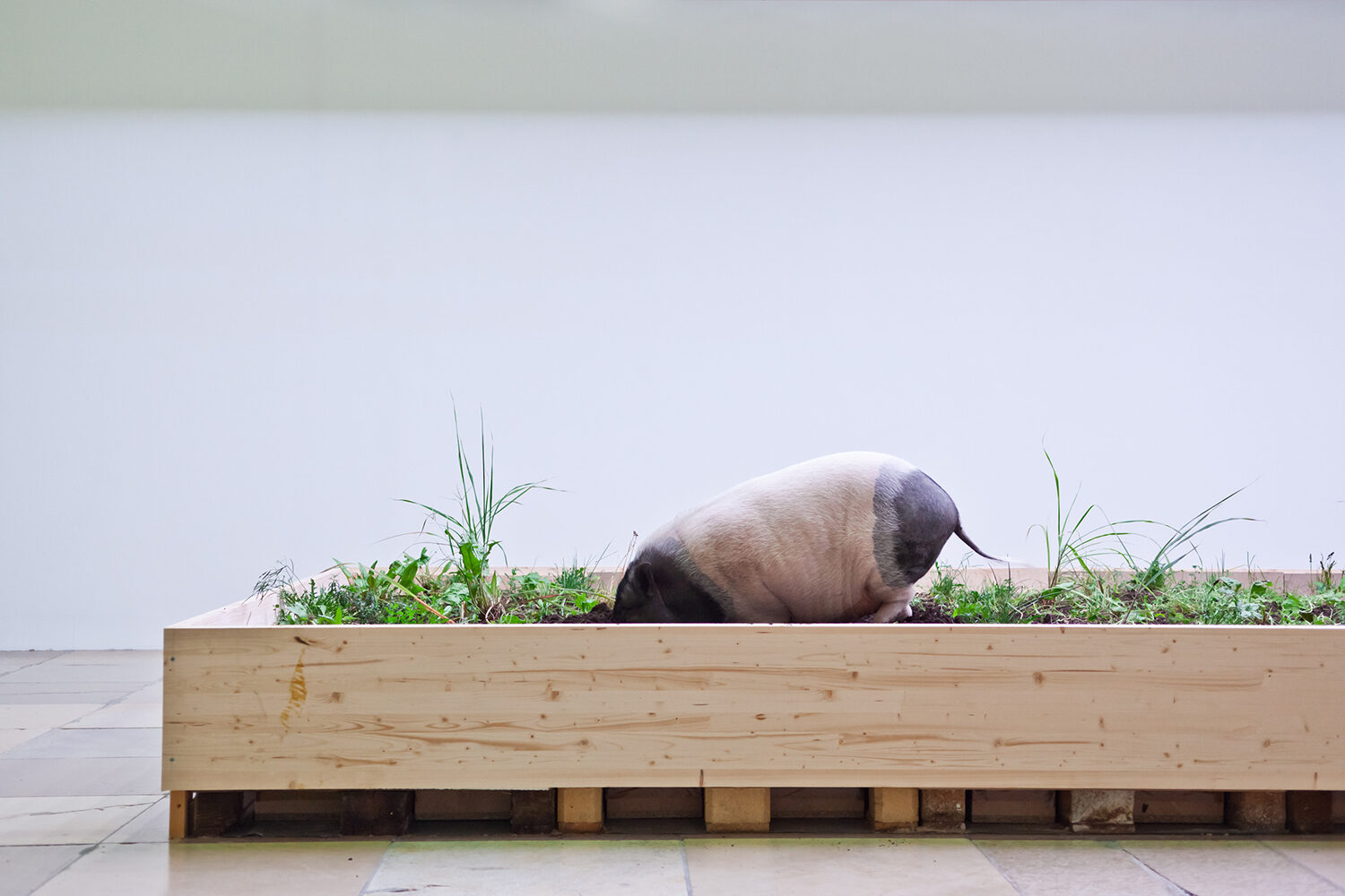 Ends of the Earth – Land Art to 1974 - Haus der Kunst