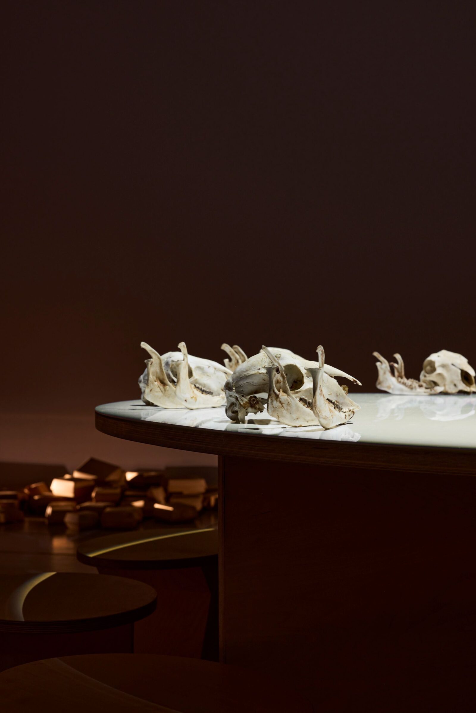 Shu Lea Cheang. Kiss Kiss Kill Kill | Haus der Kunst München